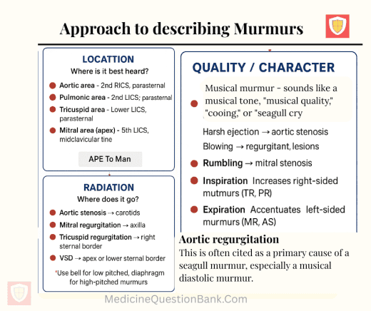 A systematic approach to describing murmurs - Medicine Question Bank